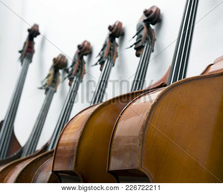 Upright Bass Images, Illustrations & Vectors (Free) - Bigstock