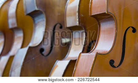 Upright Bass Images, Illustrations & Vectors (Free) - Bigstock