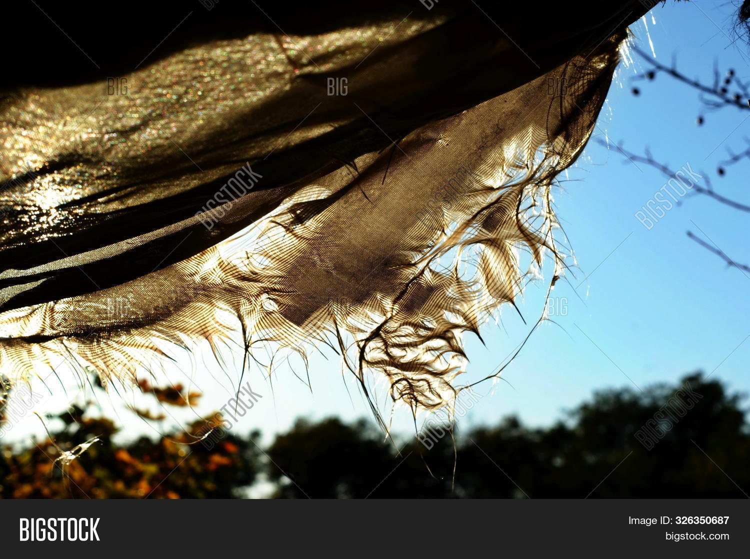 Old Dirty Torn Rag Image & Photo (Free Trial) | Bigstock