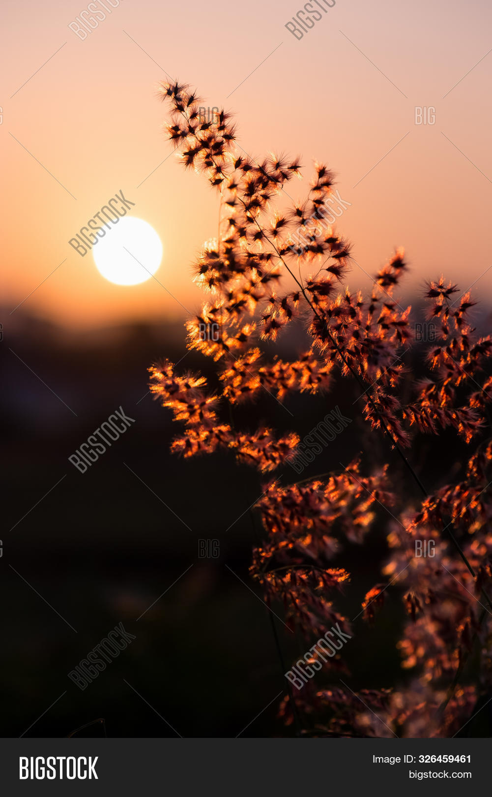 Beautiful Natural Image & Photo (Free Trial) | Bigstock