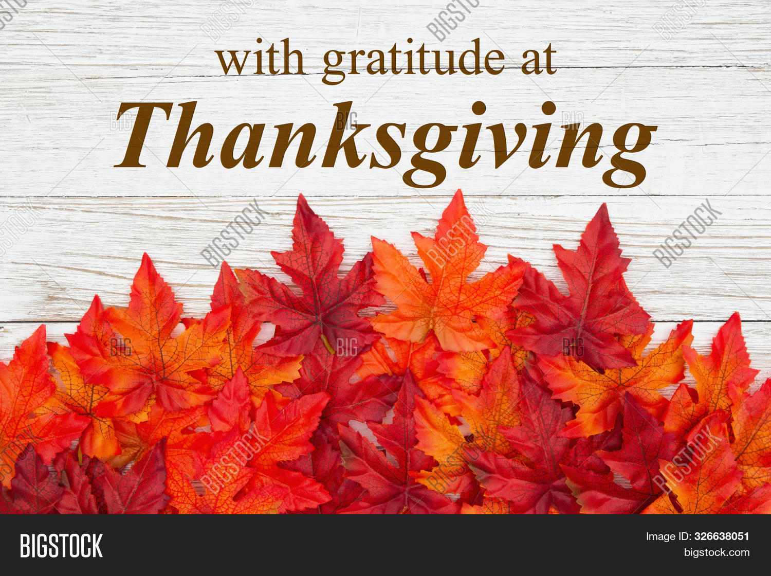 Gratitude Thanksgiving Image & Photo (Free Trial) | Bigstock