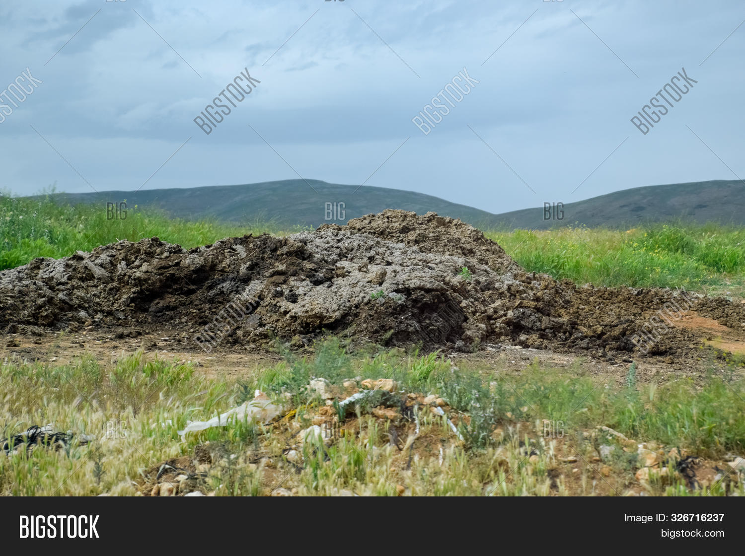 Piles Manure Field. Image & Photo (Free Trial) | Bigstock