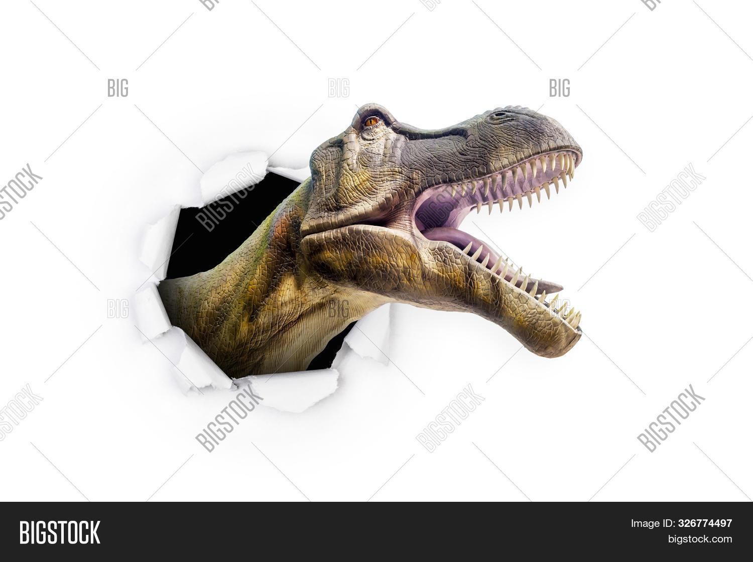 Tyrannosaurus Rex T Image & Photo (Free Trial) | Bigstock