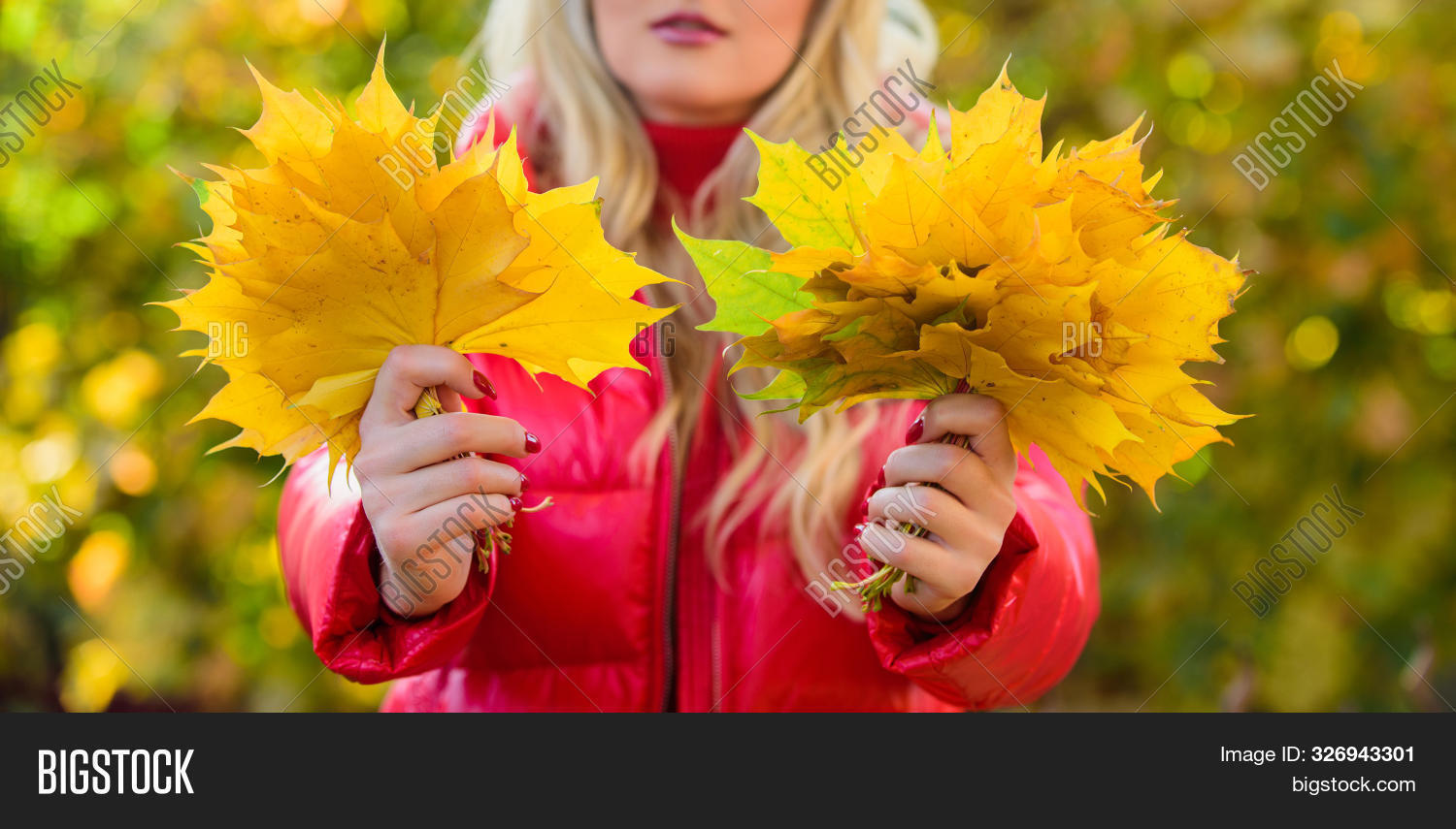 Lady Posing Leaves Image & Photo (Free Trial) | Bigstock