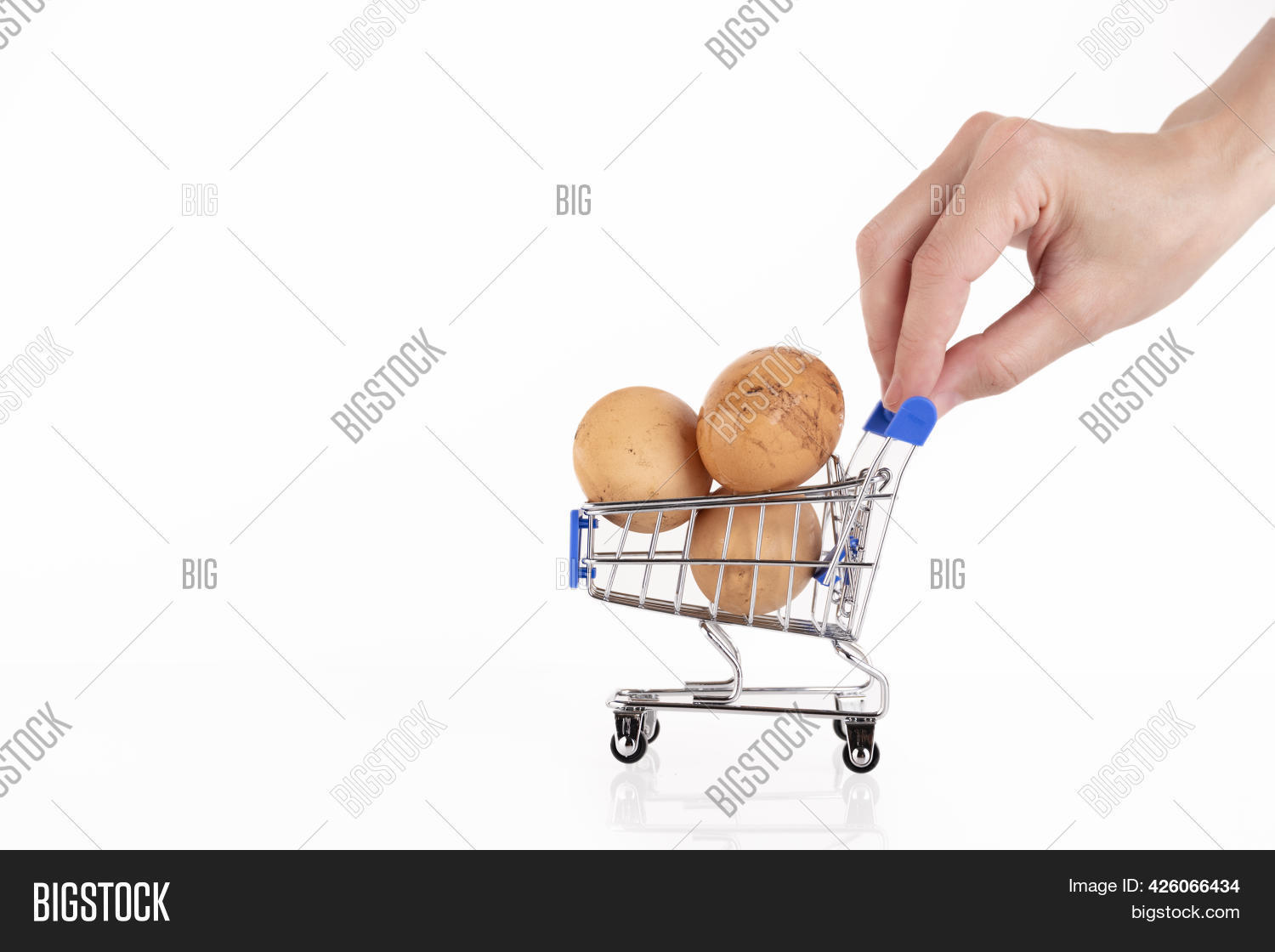 Female Hand Rolls Image & Photo (Free Trial) | Bigstock