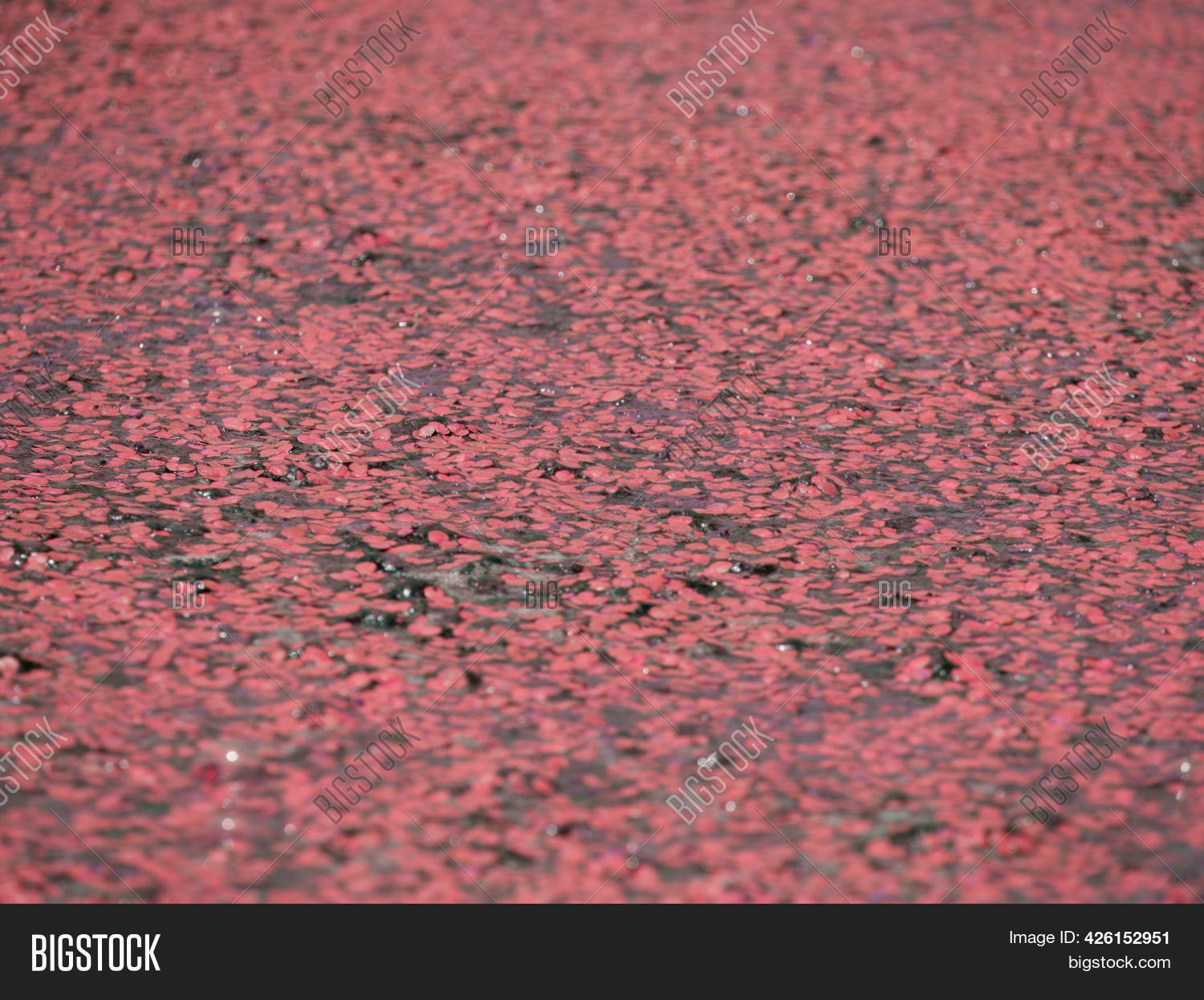 Flowing Pink Color Image & Photo (Free Trial) | Bigstock