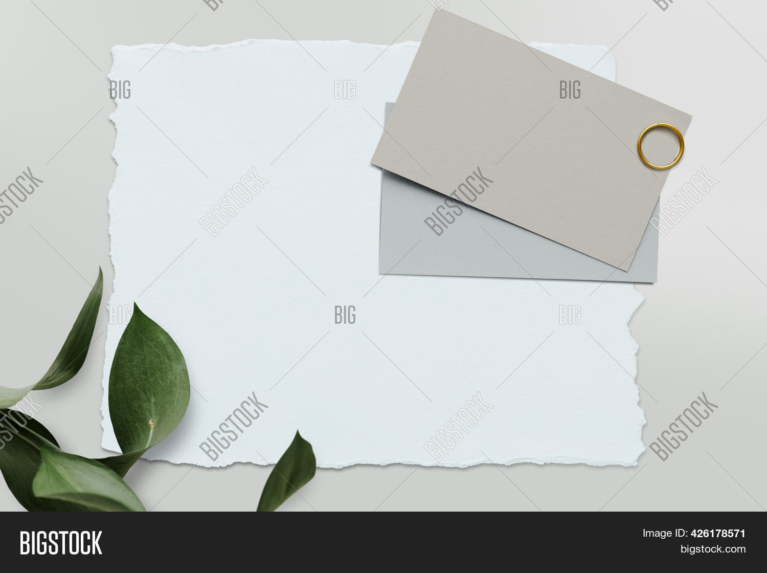 Blank White Card Image & Photo (Free Trial) | Bigstock