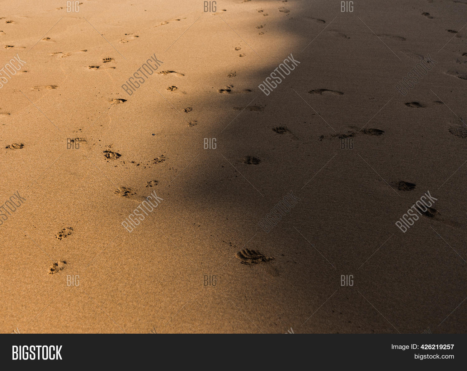 Shadow Over Sand Image & Photo (Free Trial) | Bigstock