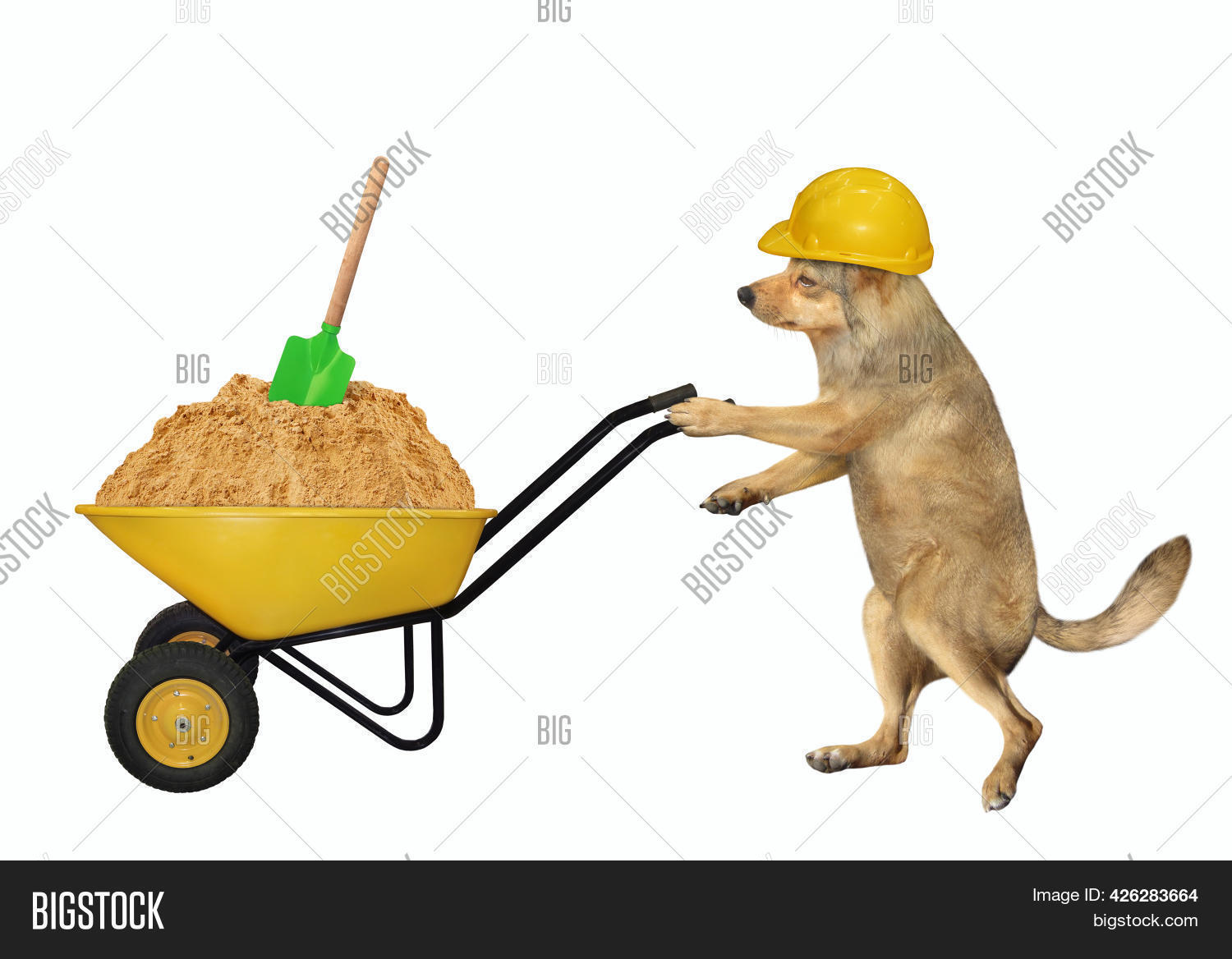 Beige Dog Builder Image & Photo (Free Trial) | Bigstock