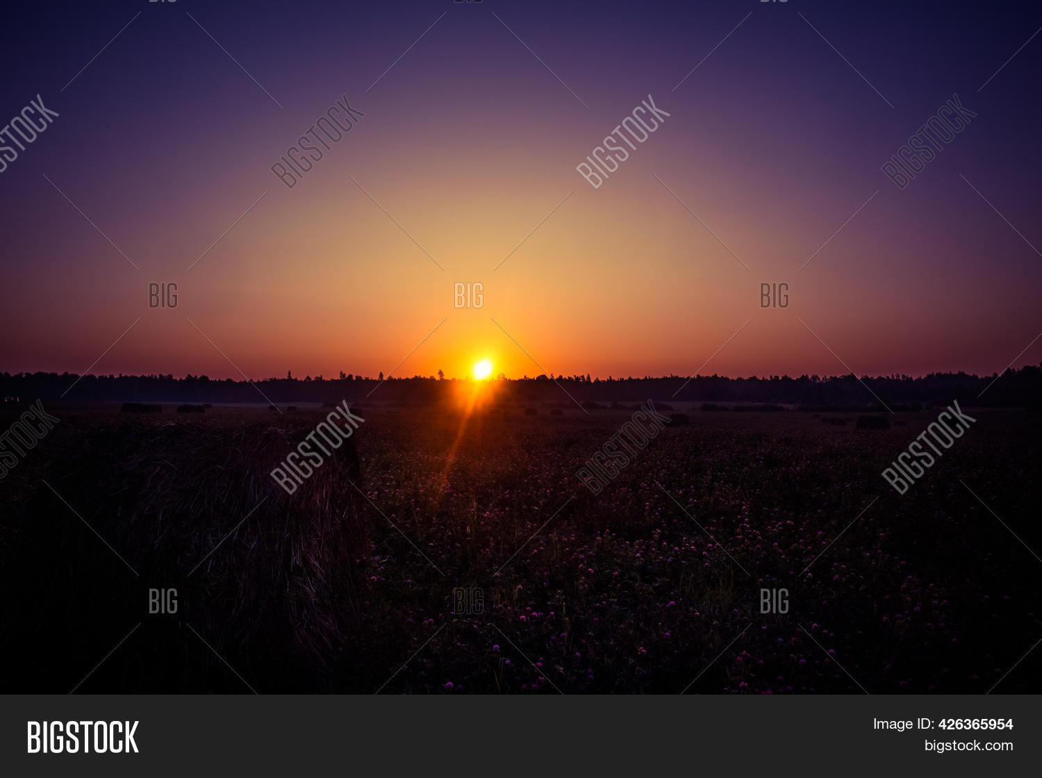 Summer Sun Rising Over Image & Photo (Free Trial) | Bigstock