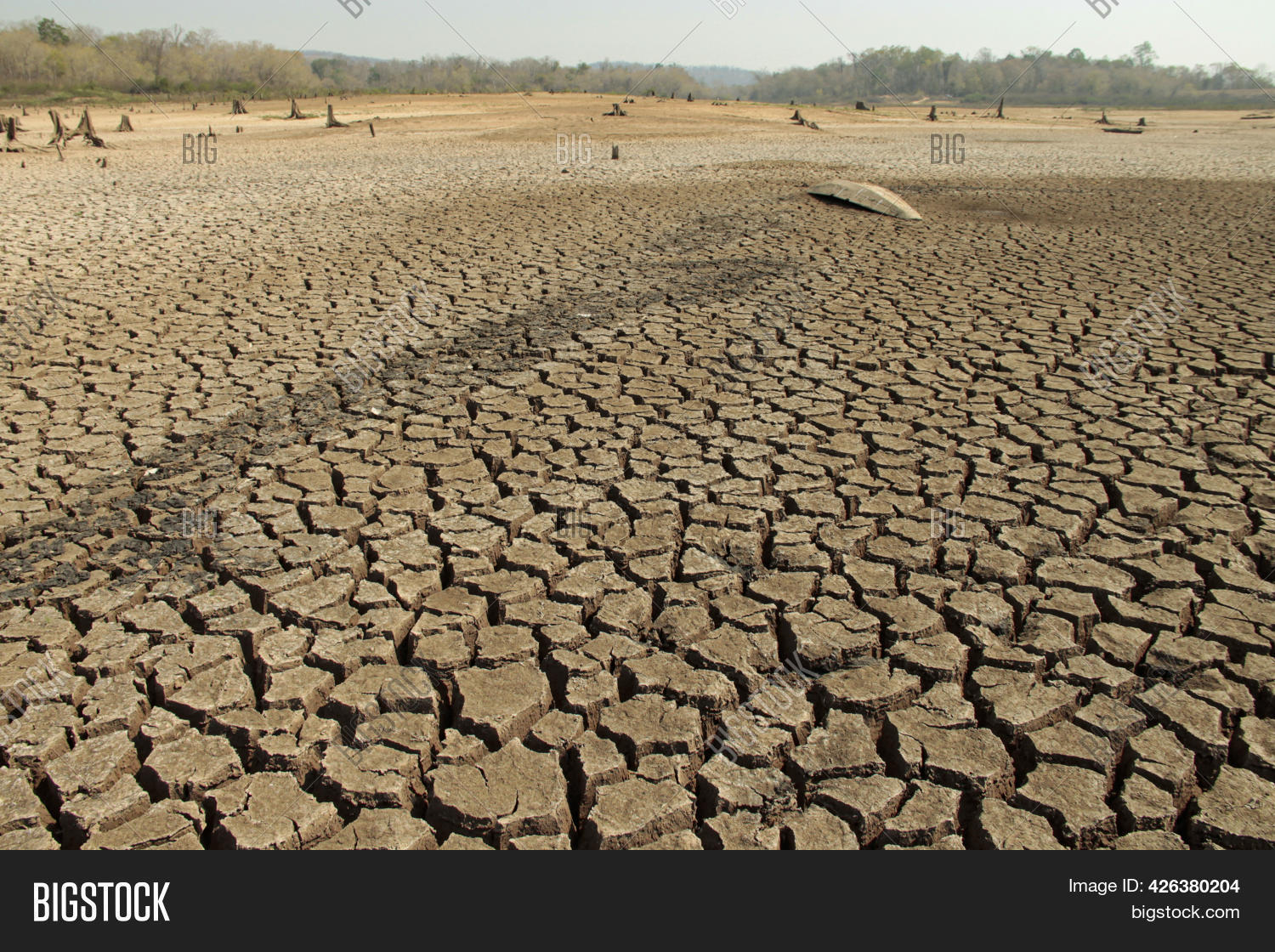 Drought Land Texture Image & Photo (Free Trial) | Bigstock