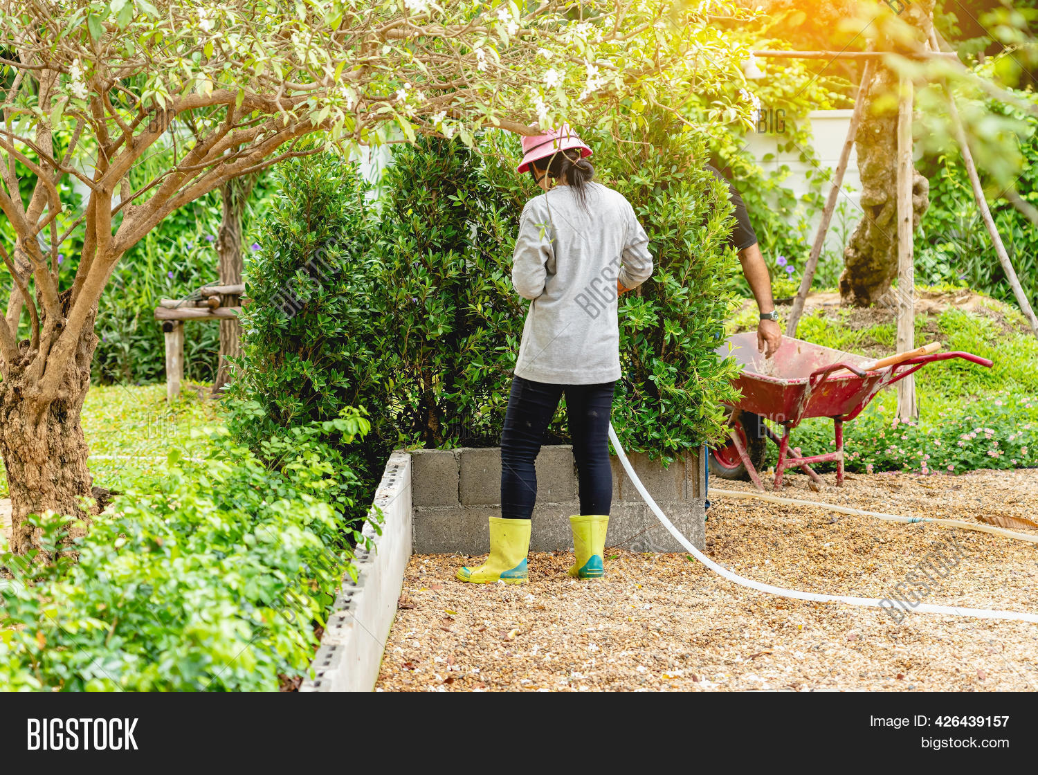 Back View Woman Image & Photo (Free Trial) | Bigstock