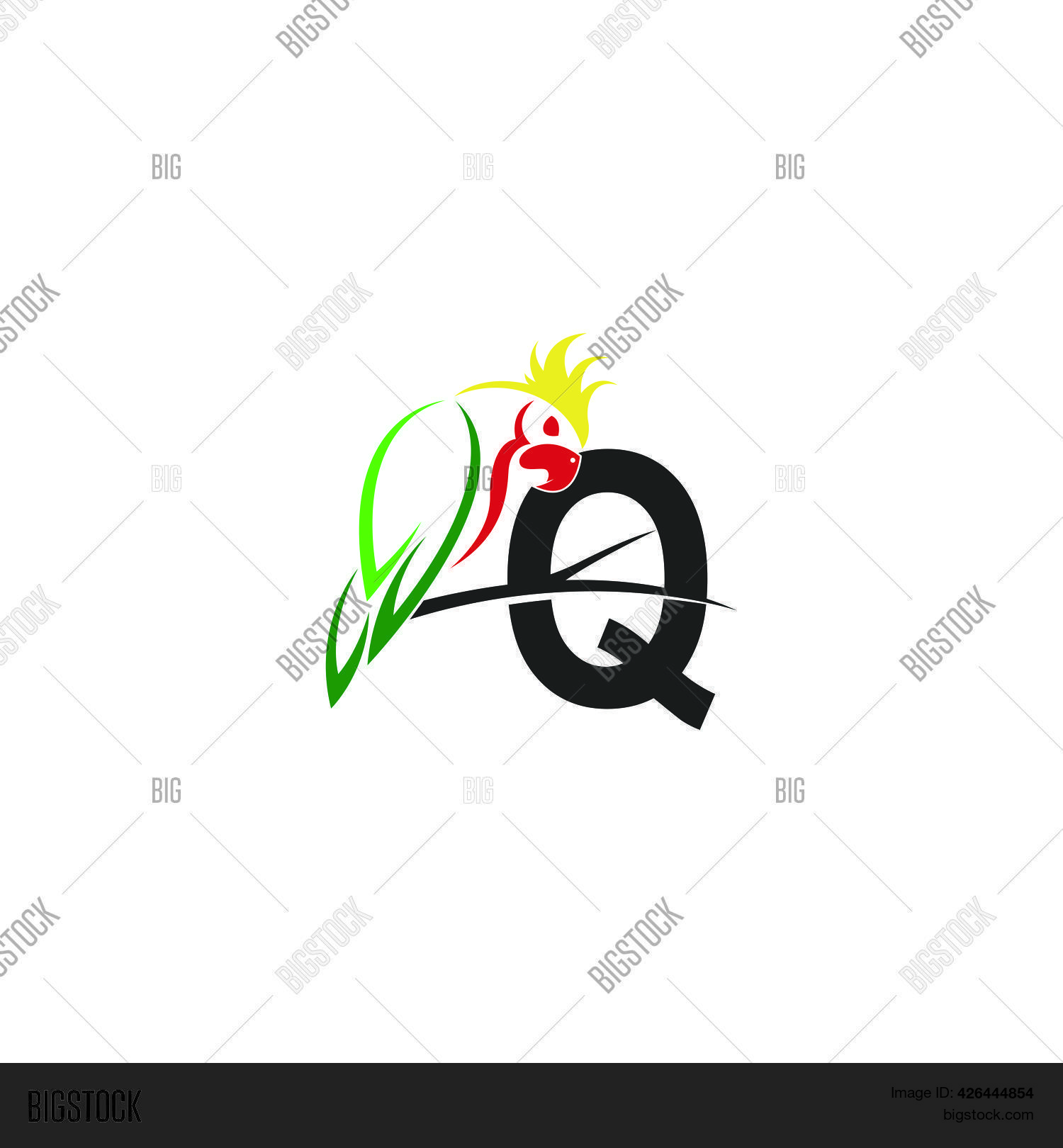 Letter Q Parrot Bird Vector & Photo (Free Trial) | Bigstock