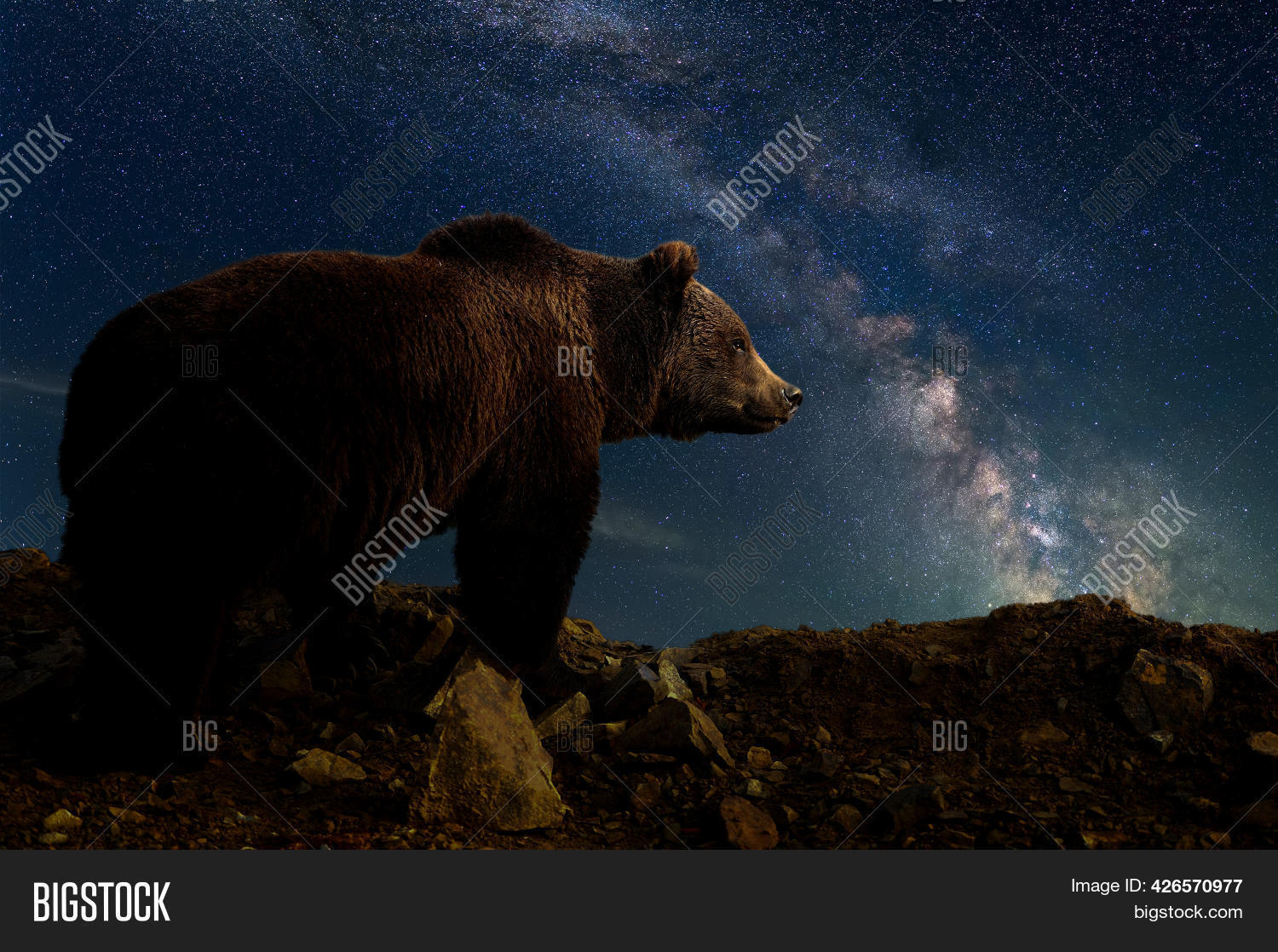 Beautiful Night Image & Photo (Free Trial) | Bigstock