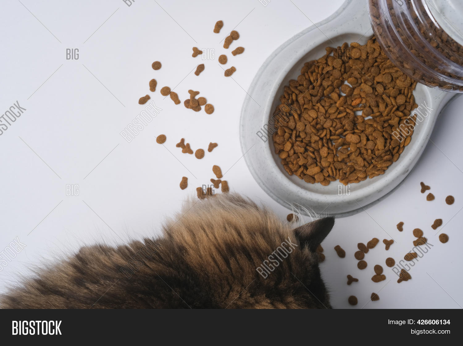 Top View Cat Dry Food Image & Photo (Free Trial) | Bigstock