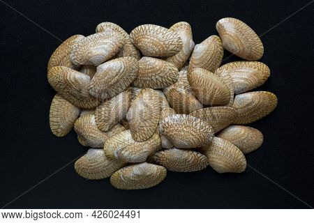 Edible Seafood Shells Image & Photo (Free Trial) | Bigstock