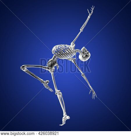 Anatomy Dancing Ballet Image & Photo (Free Trial) | Bigstock