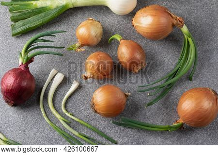 Onions Different Image & Photo (Free Trial) | Bigstock