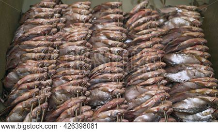 Industrial Fish Image & Photo (Free Trial) | Bigstock