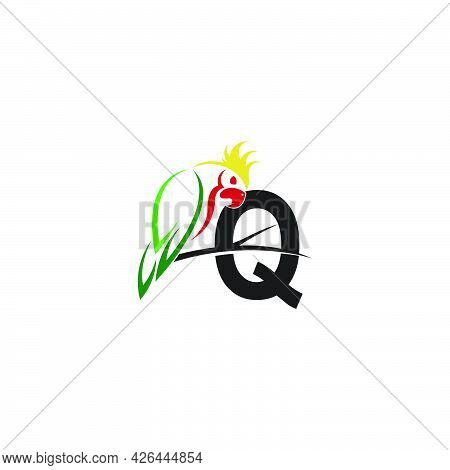 Letter Q Parrot Bird Vector & Photo (Free Trial) | Bigstock