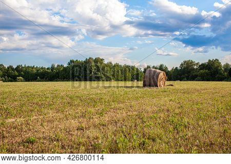 Hay Field Images, Illustrations & Vectors (Free) - Bigstock