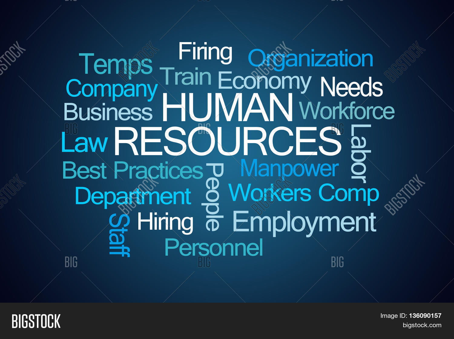 Human Resources Word Image & Photo (Free Trial) | Bigstock