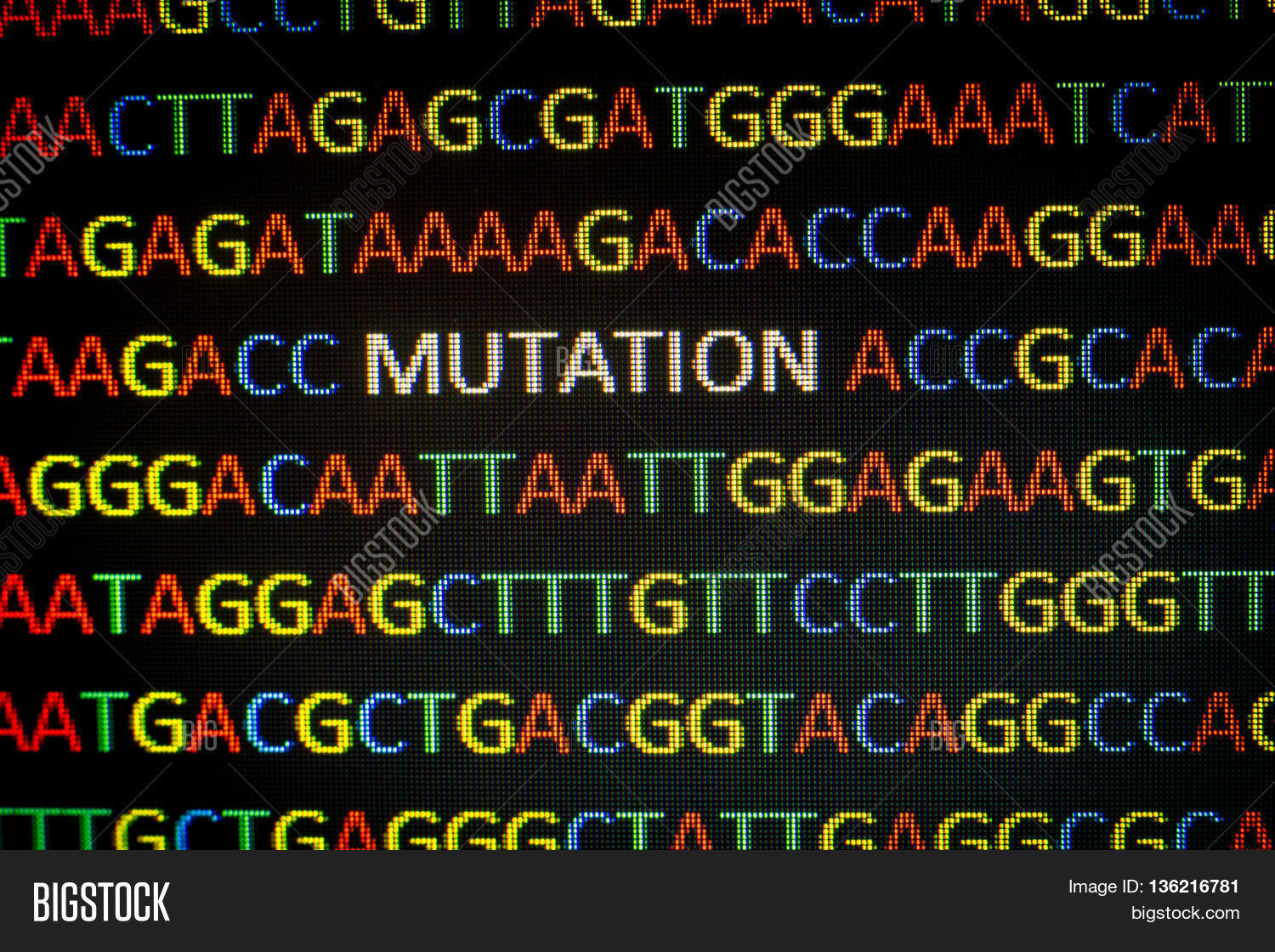 Dna Sequence Colored Image & Photo (Free Trial) | Bigstock