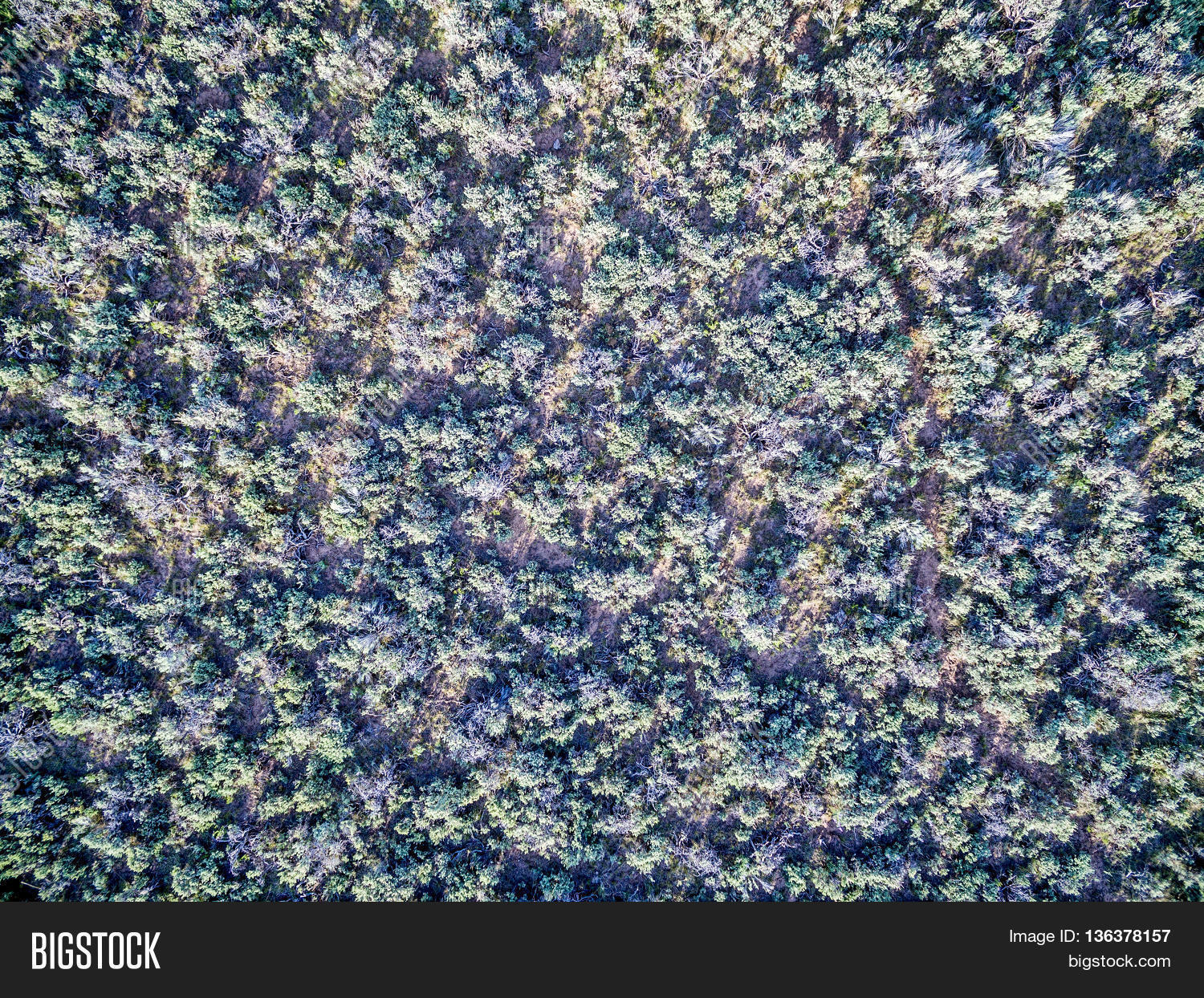 Field Sagebrush Aerial Image & Photo (Free Trial) | Bigstock