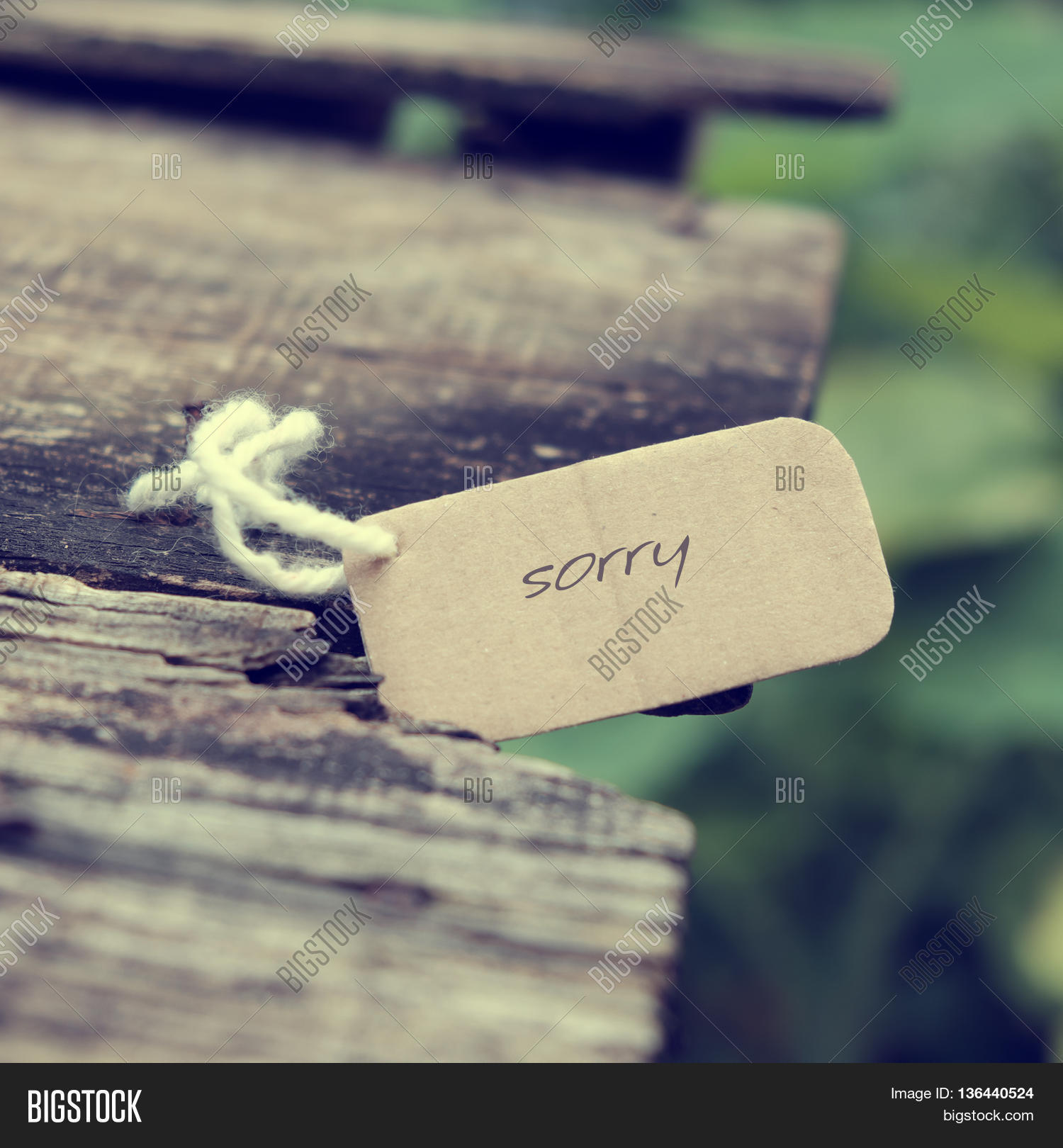 Sorry Background Image & Photo (Free Trial) | Bigstock