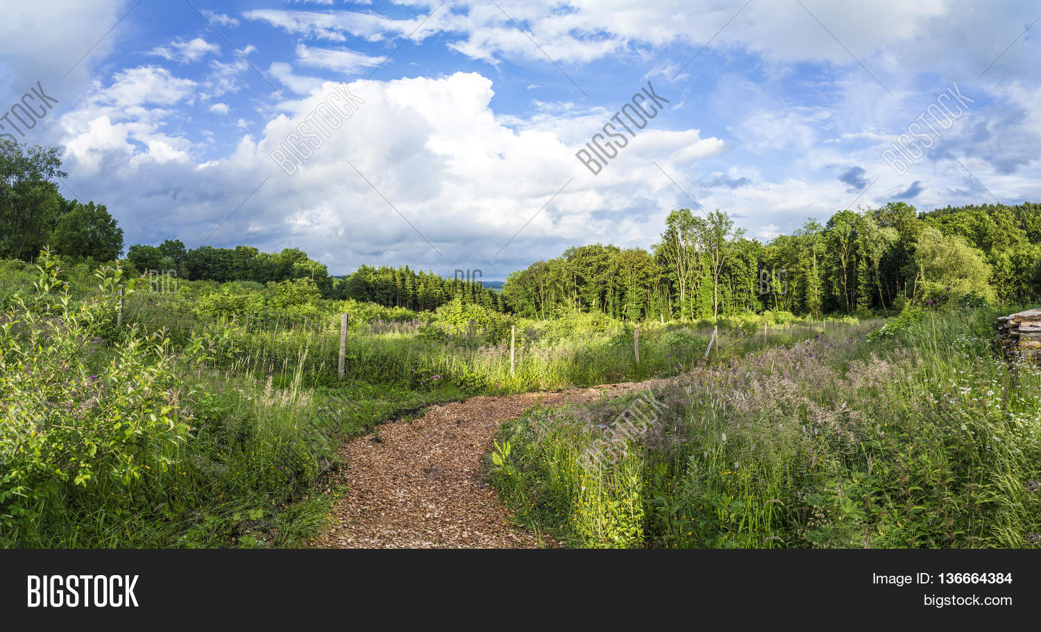 Scene German Hills Image & Photo (Free Trial) | Bigstock