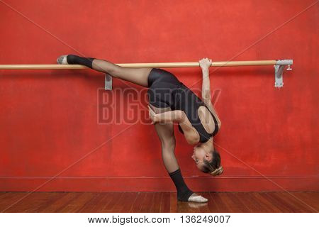 Female Ballet Dancer Image & Photo (Free Trial) | Bigstock