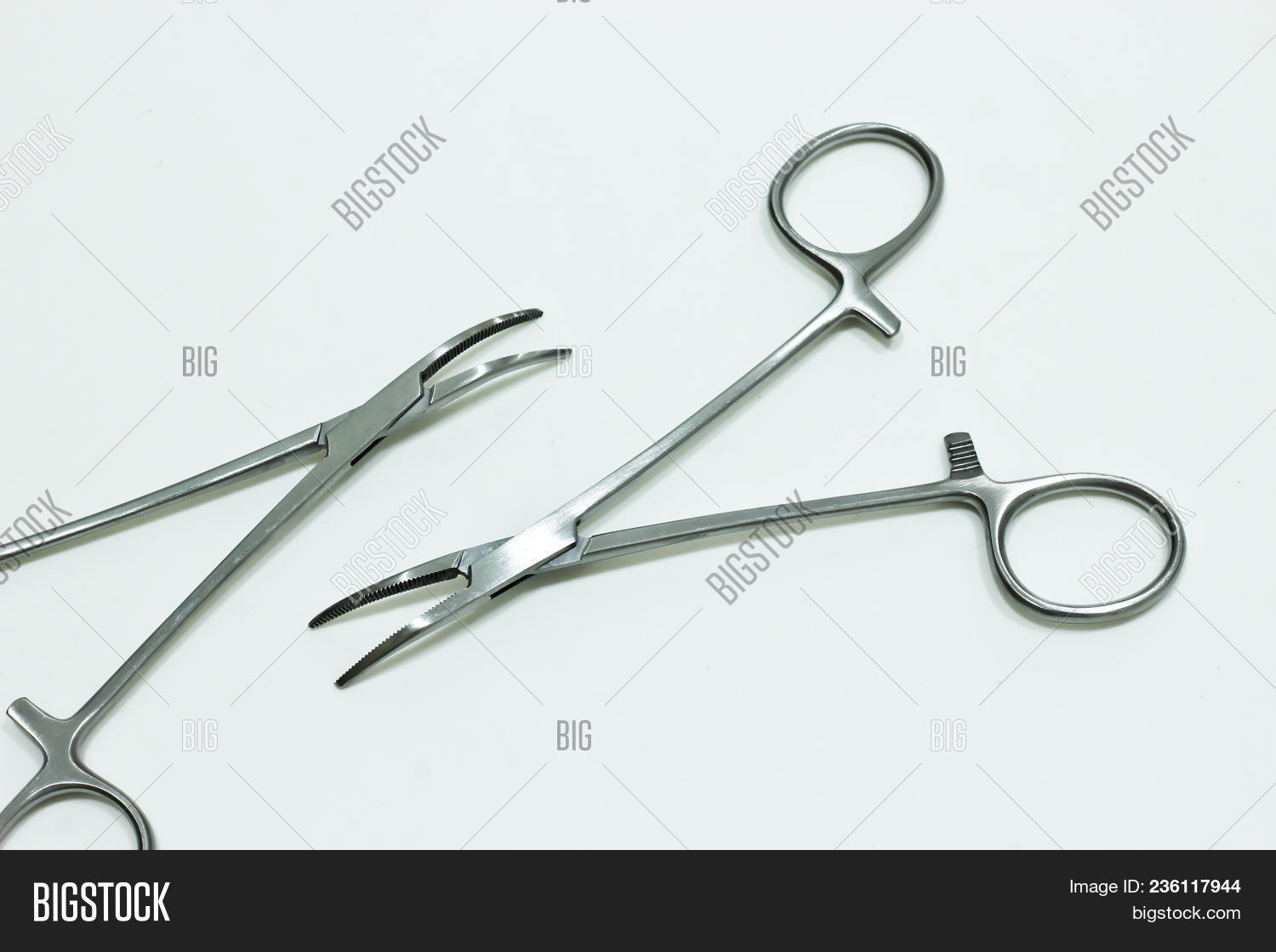 Curved Artery Forceps Image & Photo (Free Trial) | Bigstock