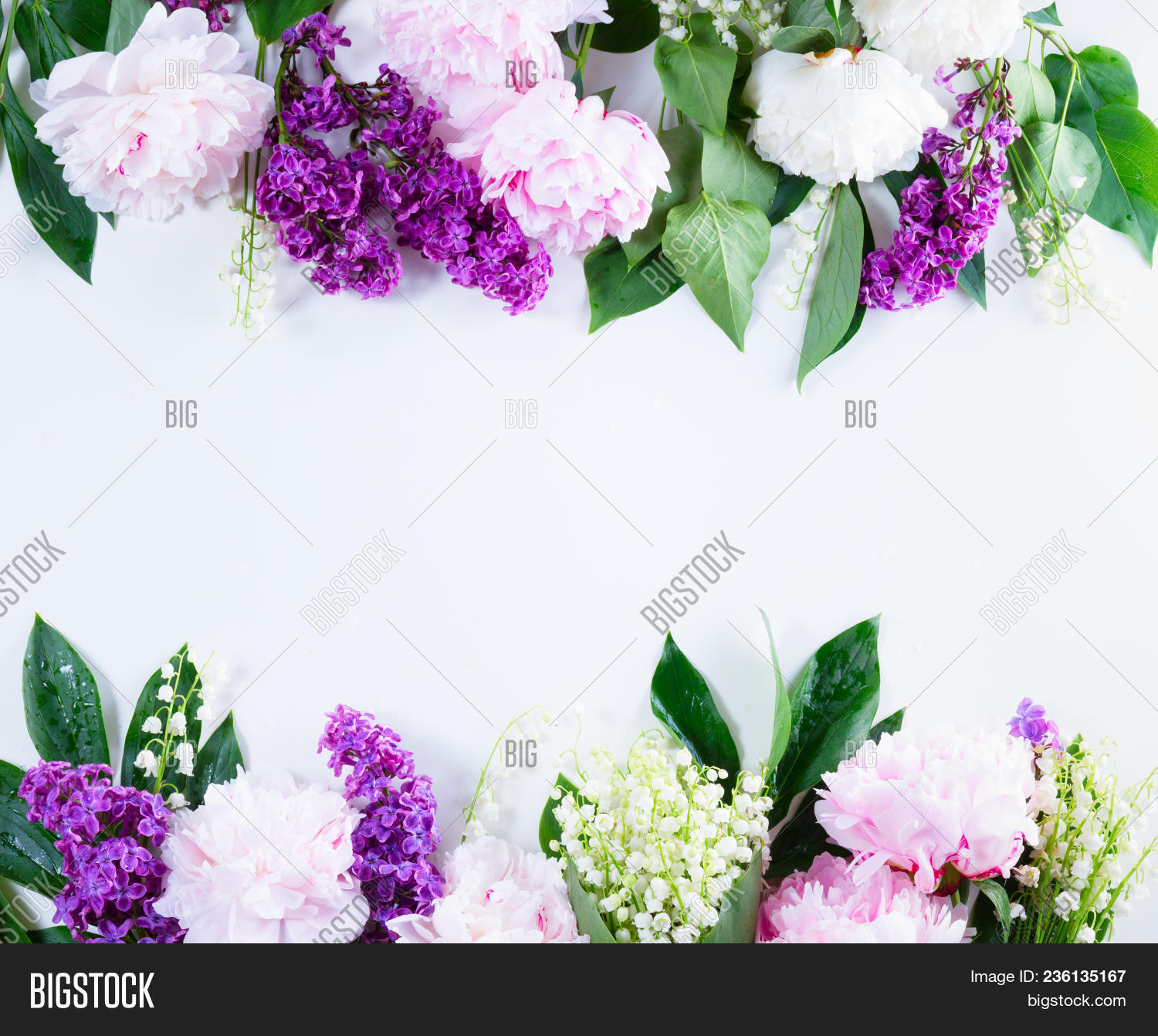 Floral Spring Borders Image & Photo (Free Trial) | Bigstock