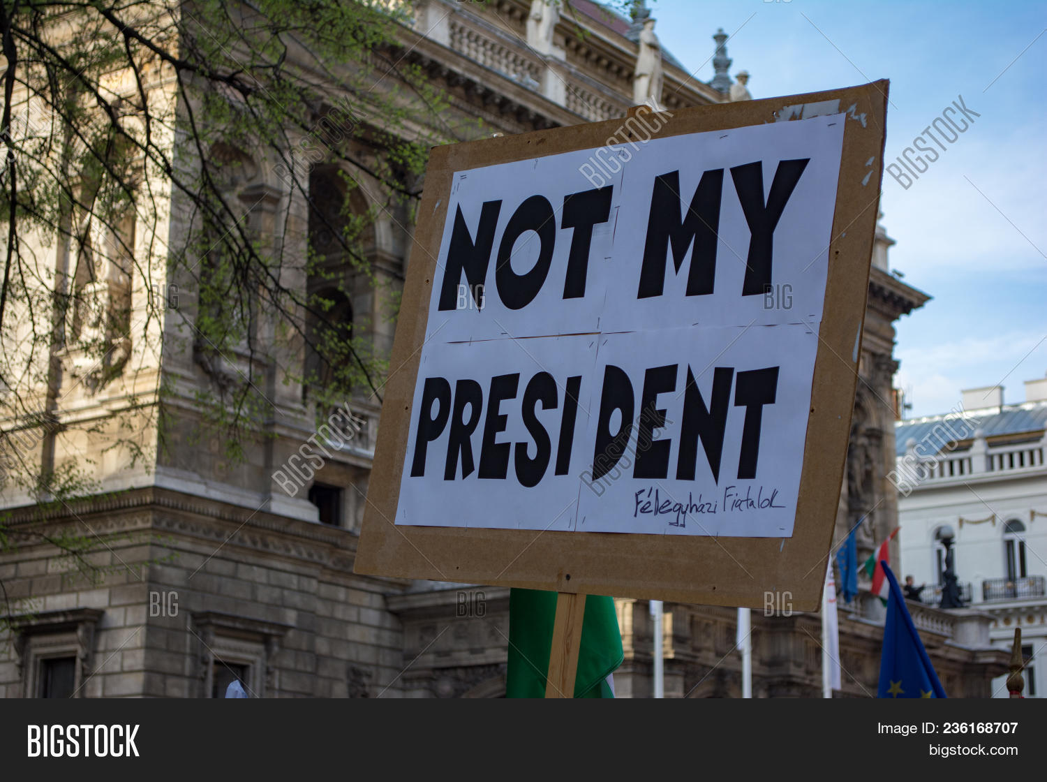 Political Protest Image & Photo (Free Trial) | Bigstock