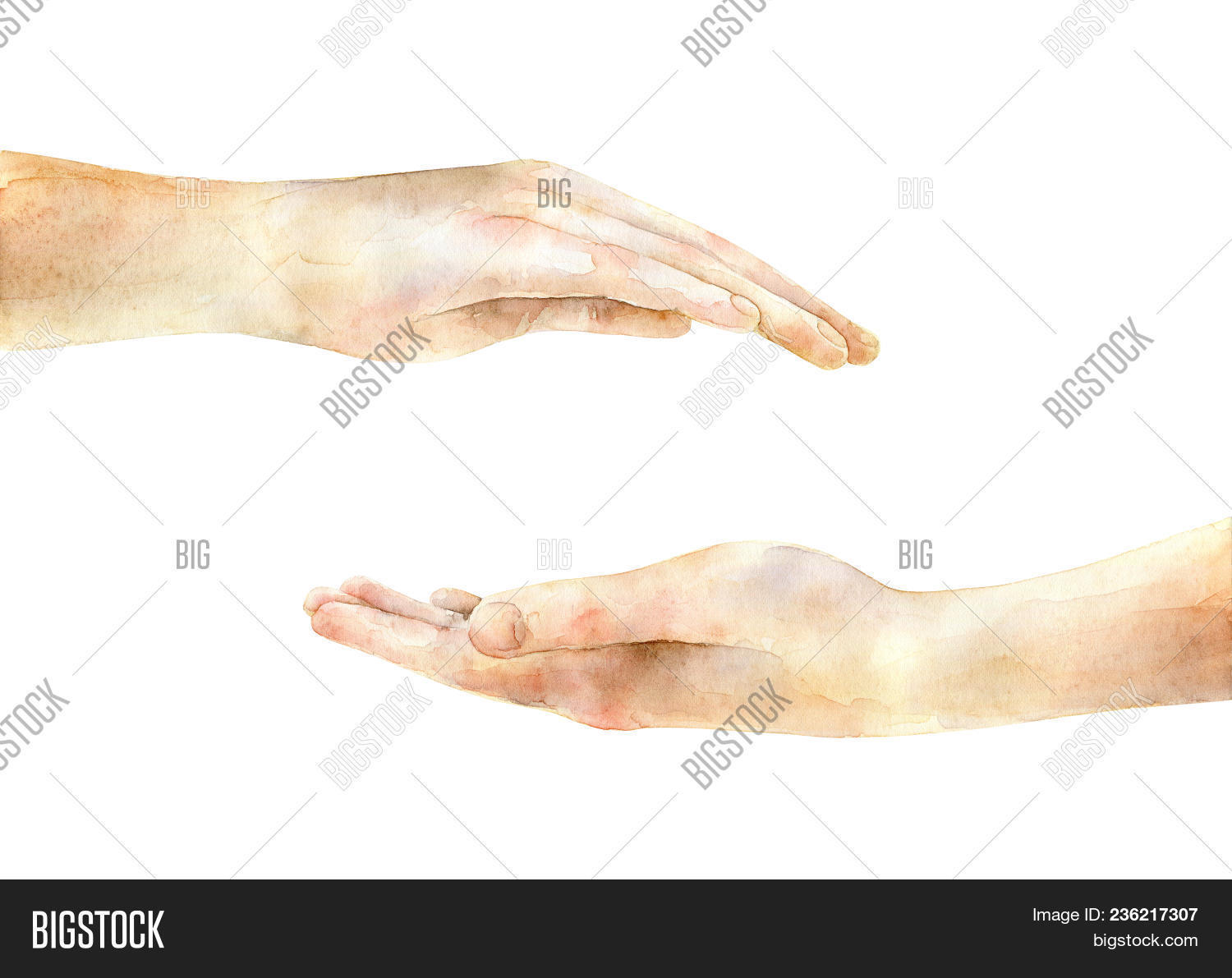 Two Hands One Above Image & Photo (Free Trial) | Bigstock