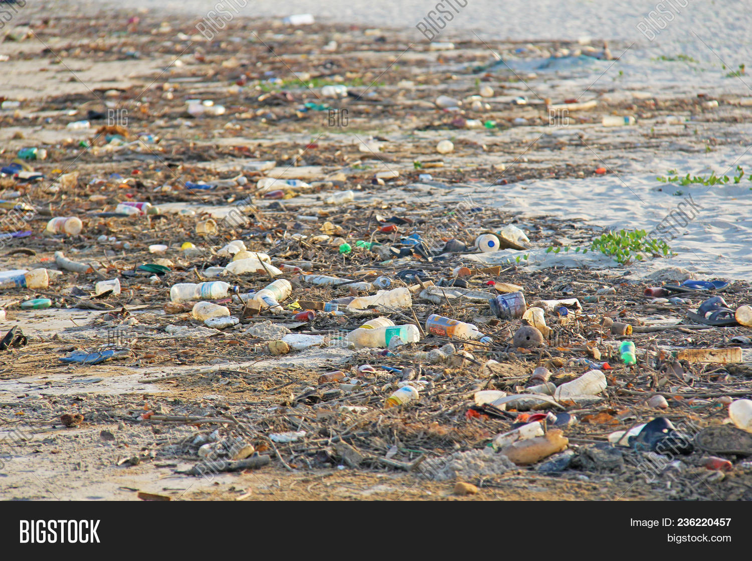 India, Goa, February Image & Photo (Free Trial) | Bigstock