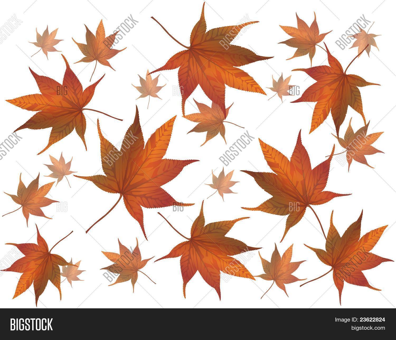 Vector Dry Leaves Vector & Photo (Free Trial) | Bigstock