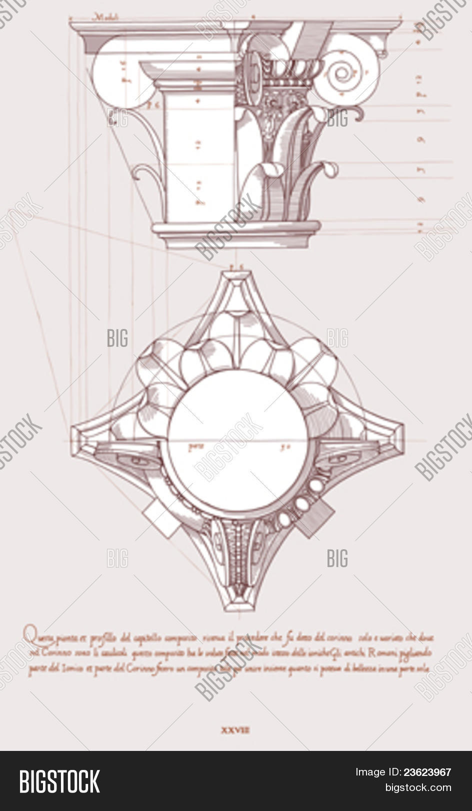 Chapiter- Hand Draw Vector & Photo (Free Trial) | Bigstock