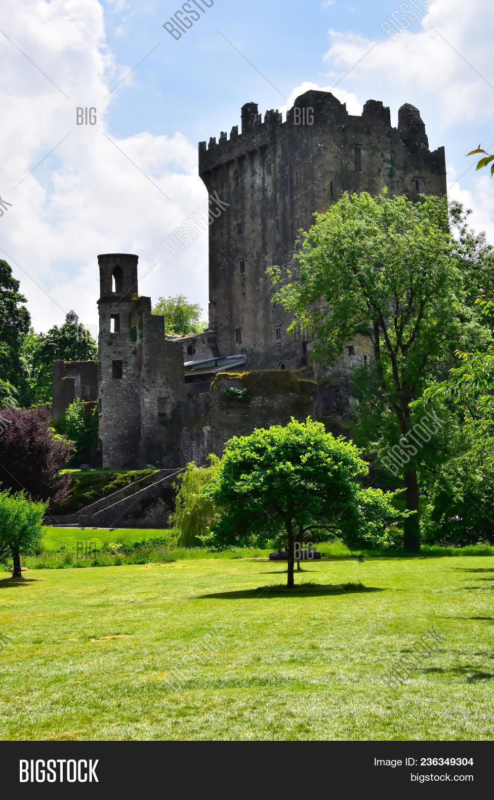 Ancient Blarney Castle Image & Photo (Free Trial) | Bigstock