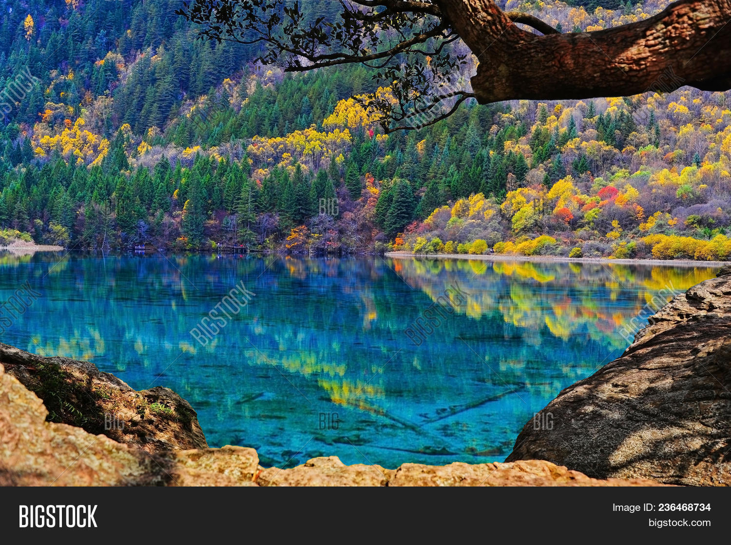 Beautiful View Multi- Image & Photo (Free Trial) | Bigstock