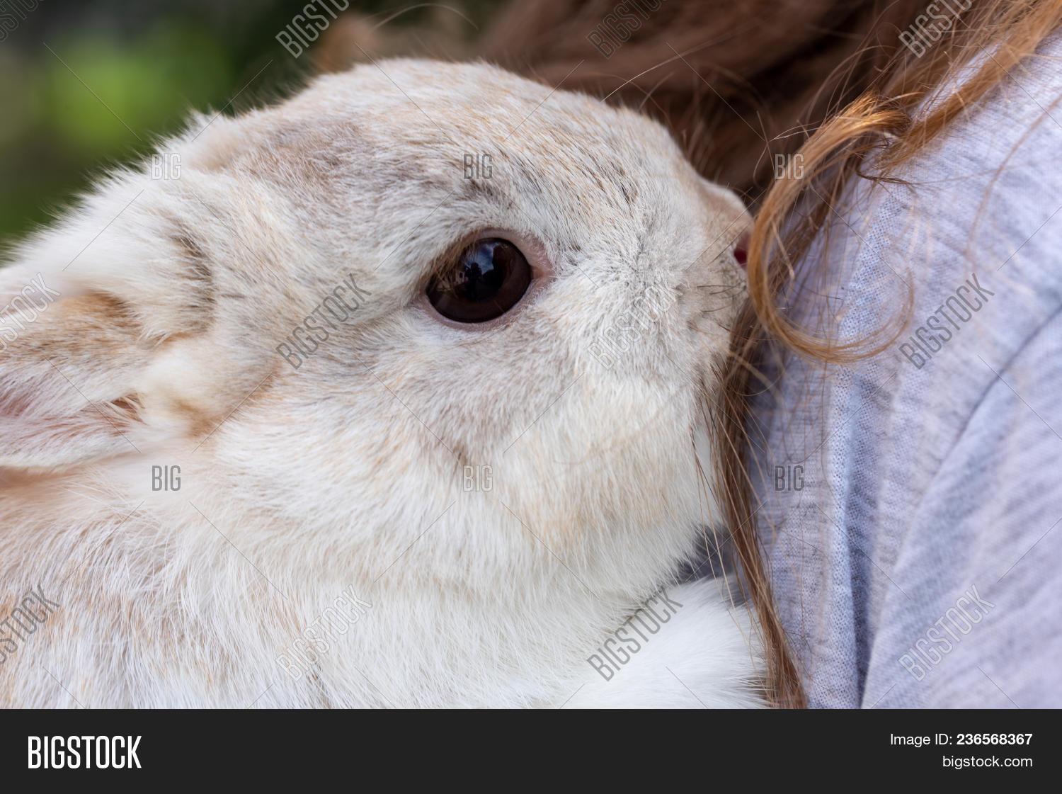 Girls Holds Her Dwarf Image & Photo (Free Trial) | Bigstock