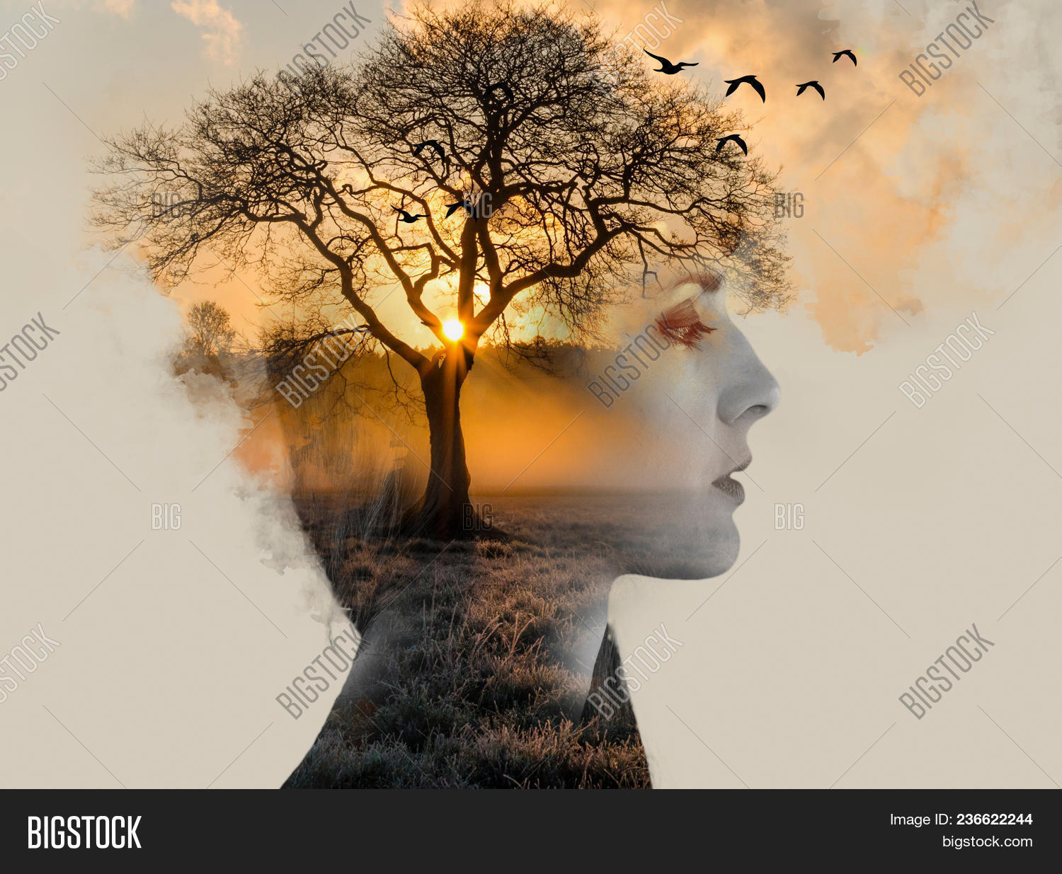 Double Exposure, Image & Photo (Free Trial) | Bigstock