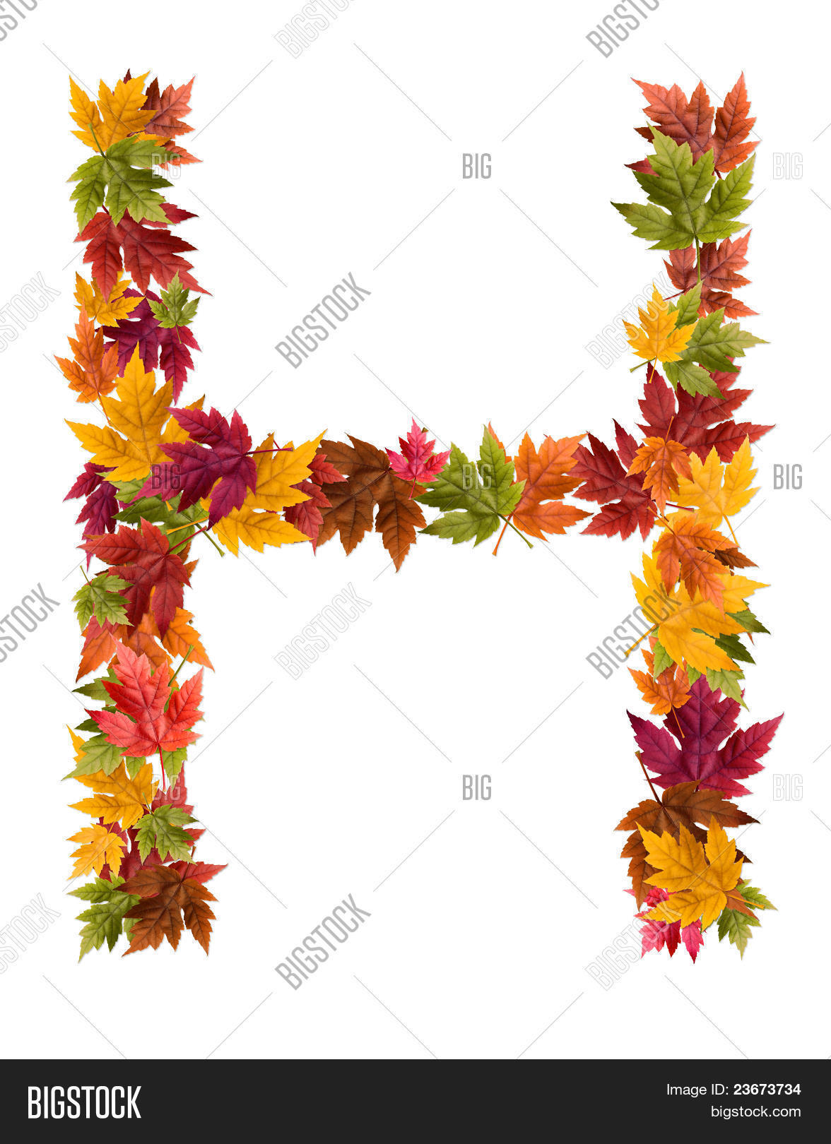 Letter H Made Autumn Image & Photo (Free Trial) | Bigstock