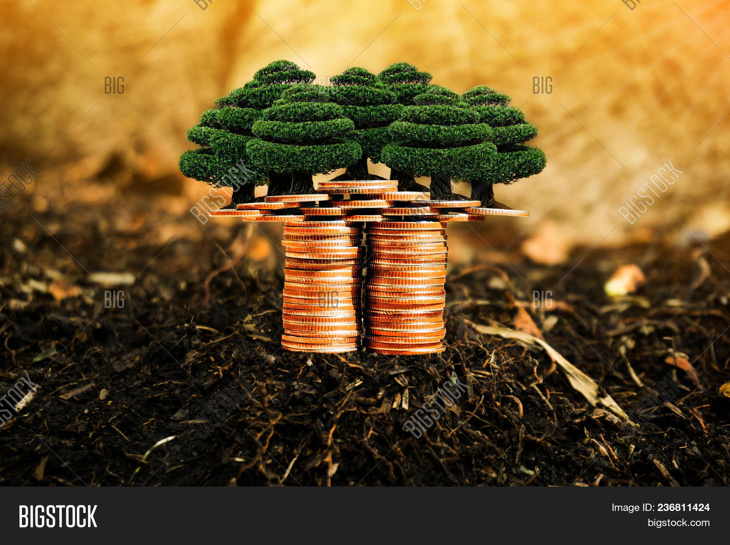 Trees Coins On Nature Image & Photo (Free Trial) | Bigstock