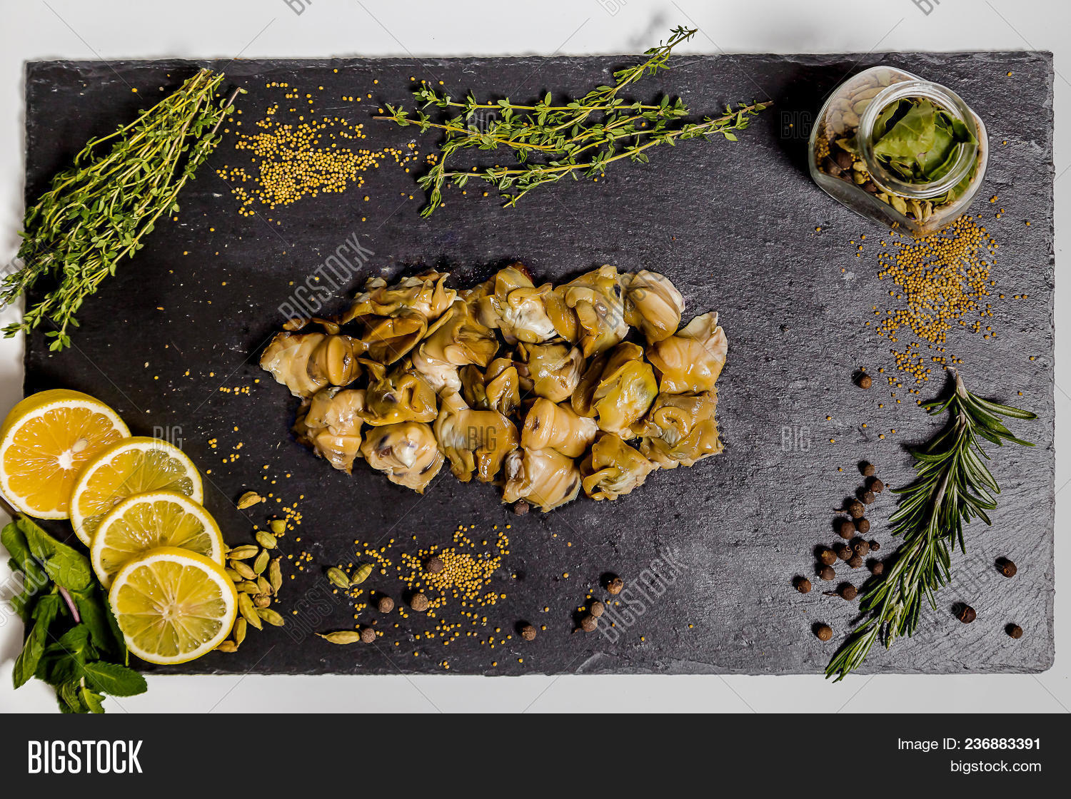 Common Whelk Meat Lies Image & Photo (Free Trial) | Bigstock