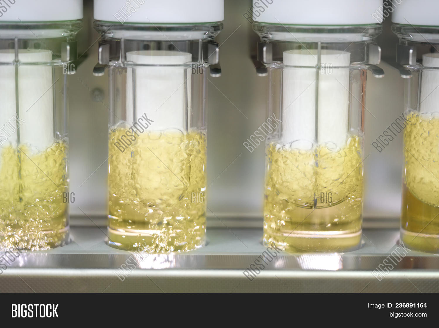 Soxhlet Extractor. Image & Photo (Free Trial) | Bigstock