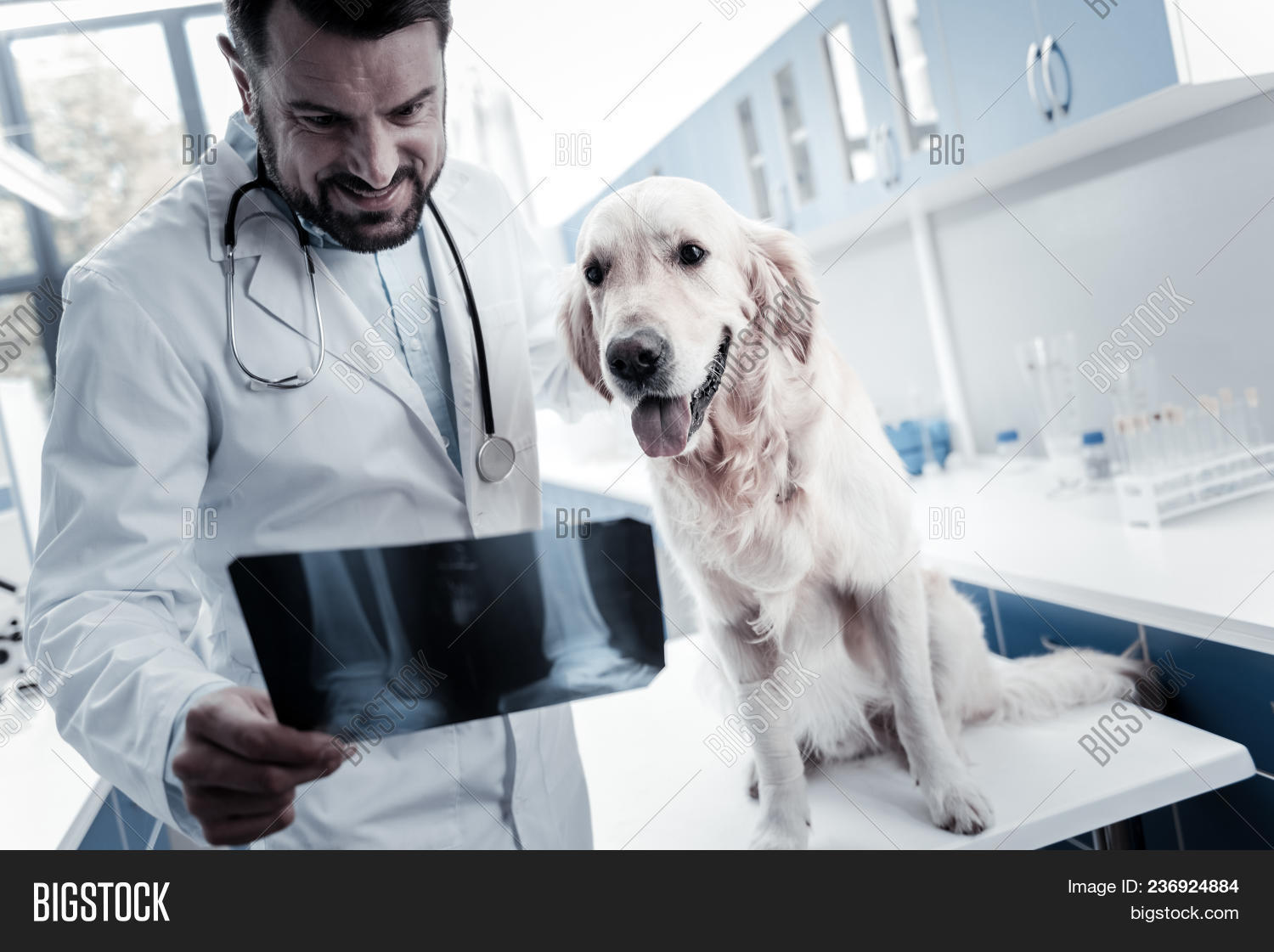 Vet Doctor. Smart Nice Image & Photo (Free Trial) | Bigstock