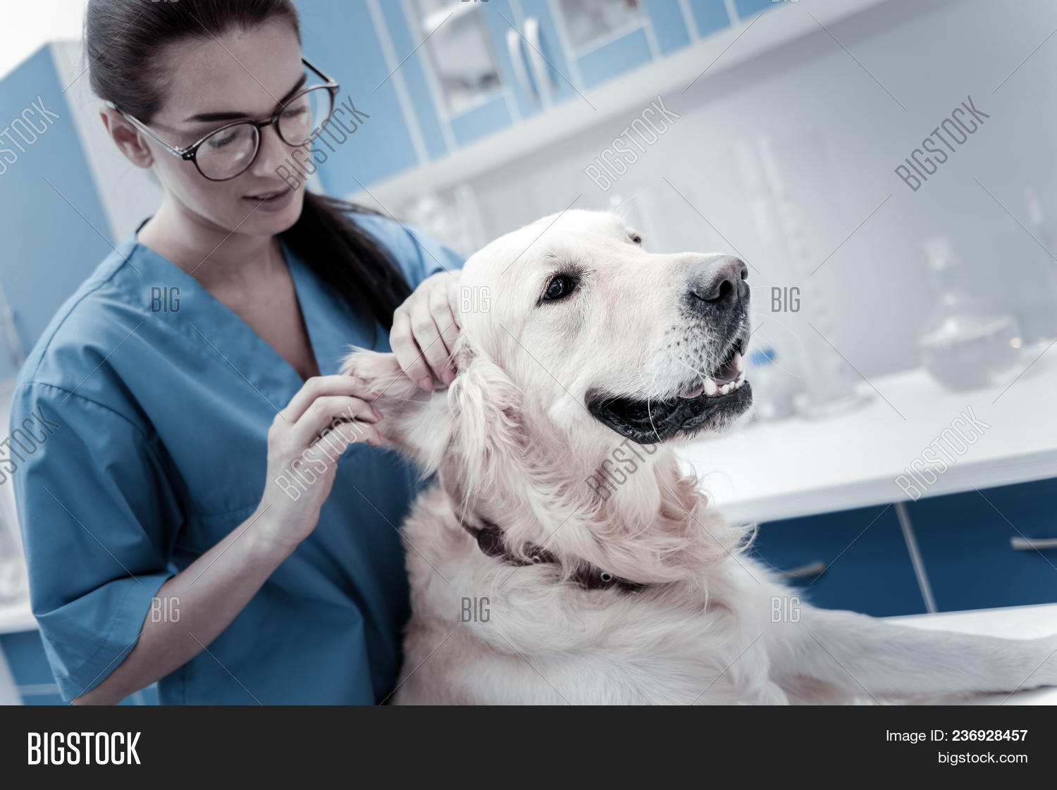 Female Veterinarian. Image & Photo (Free Trial) | Bigstock