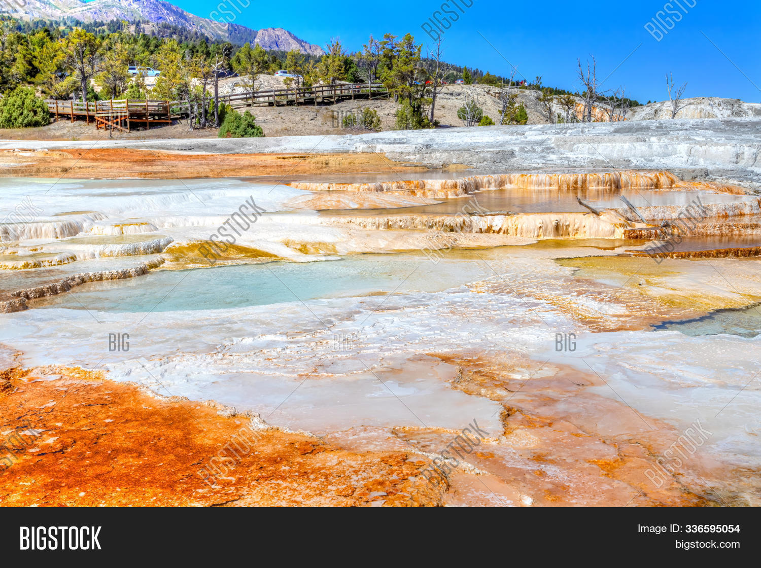 Volcanic Canary Spring Image & Photo (Free Trial) | Bigstock