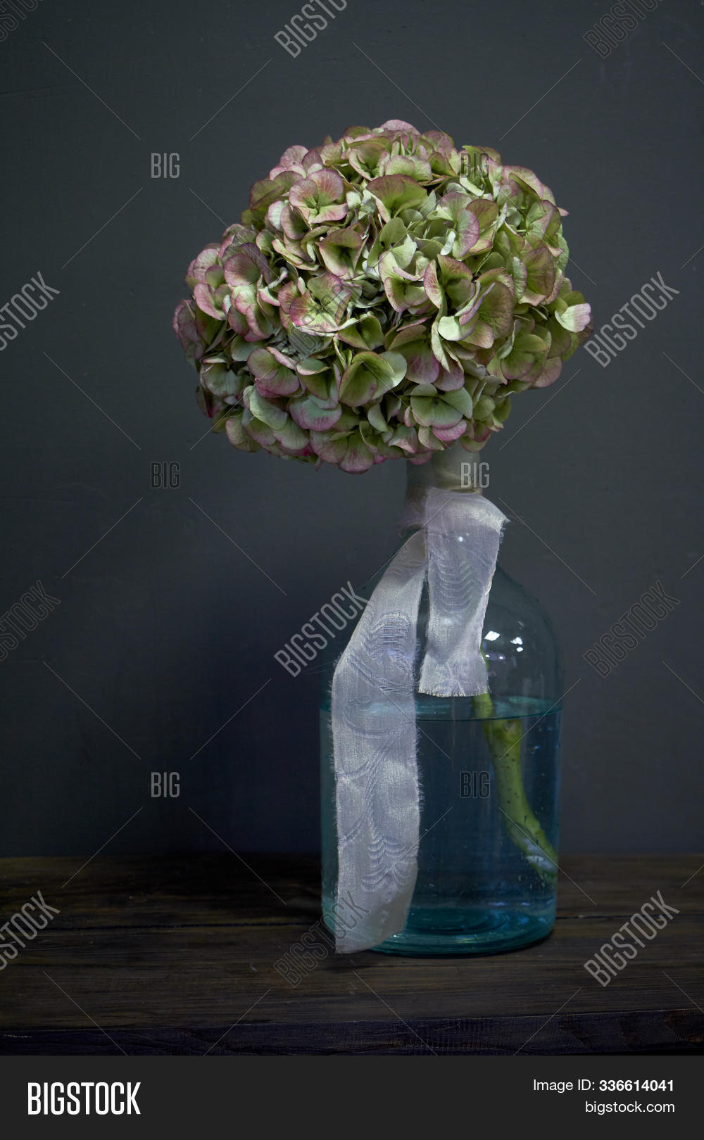 Photo Huge Hydrangea Image & Photo (Free Trial) | Bigstock